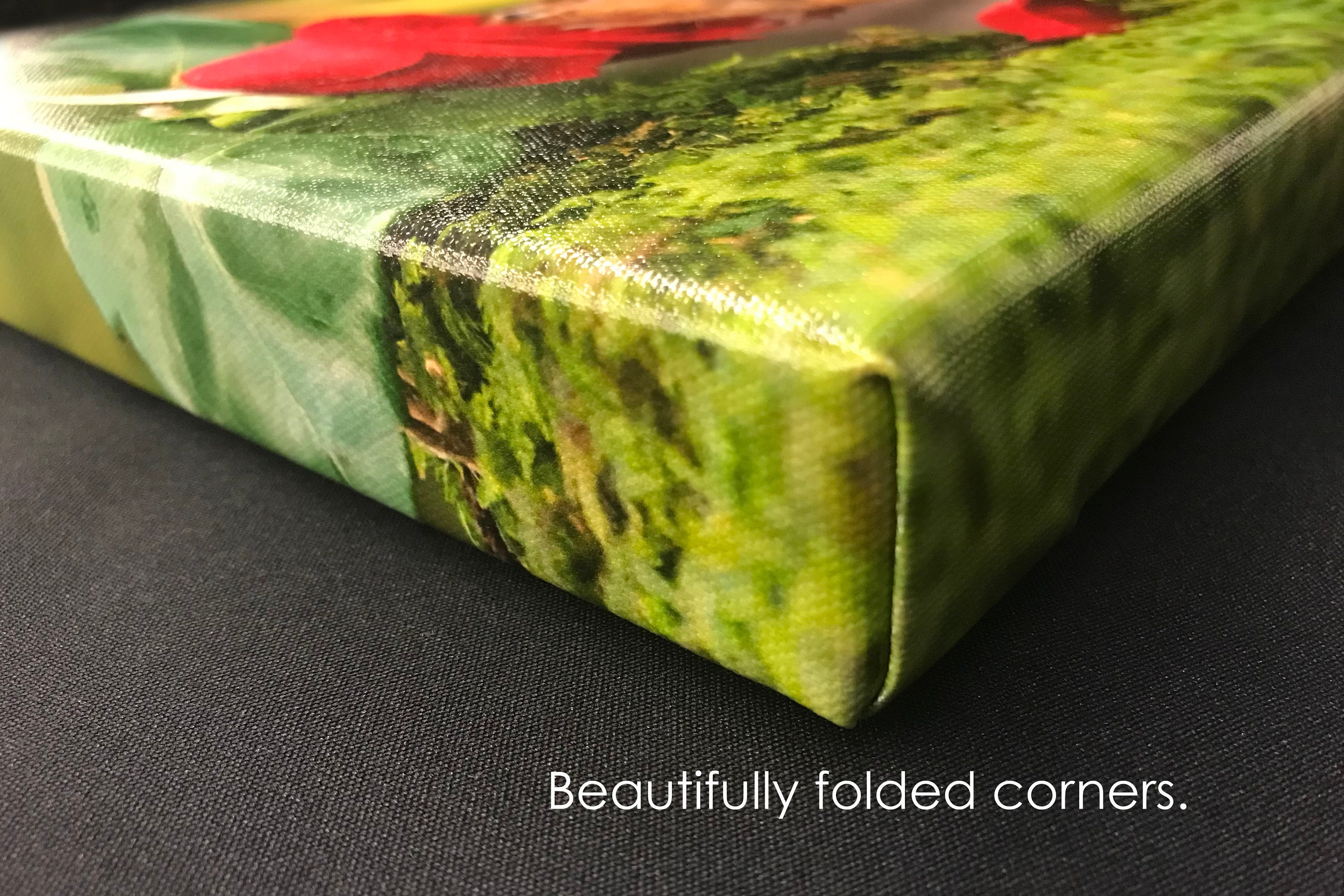 A Nose for a Rose / Chipmunk With Rose Flower Photography - Etsy