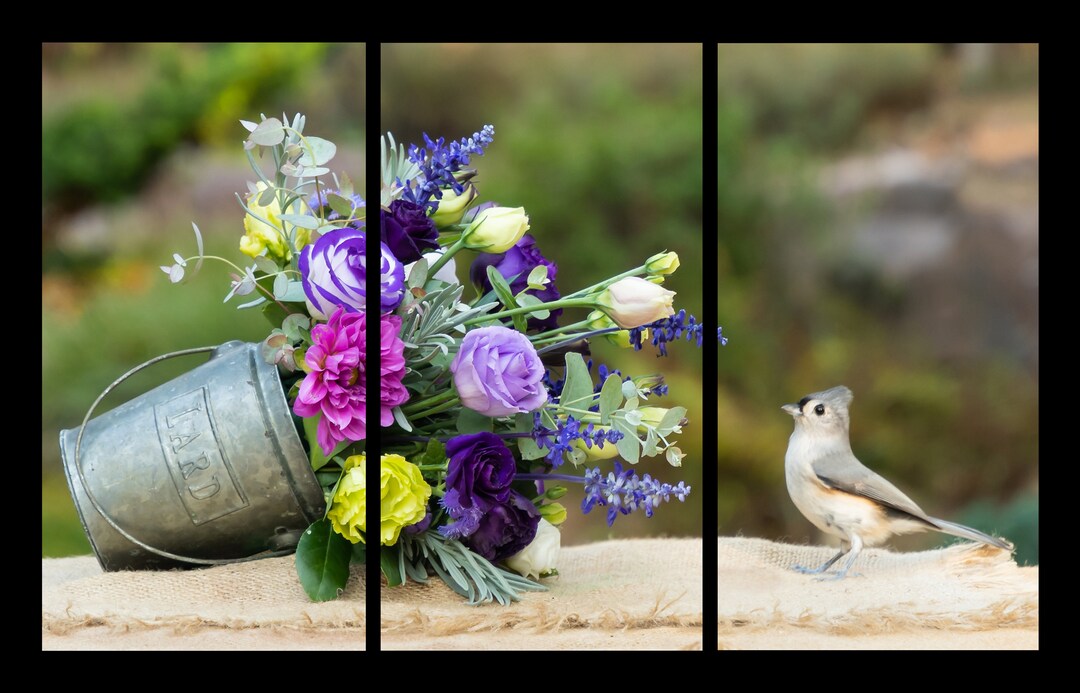 Triptych Titmouse Bird, Purple, Blue, & Pink Flowers in a Vintage Lard ...