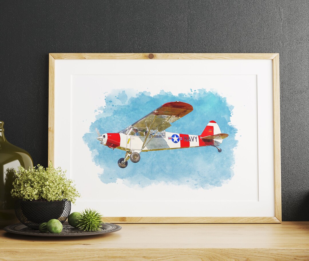Custom Plane Portrait,airplane Portrait,father Day's Gift,jet Portrait ...