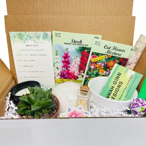 Succulent Gift Box | Plant Gift Box | Deluxe Gift Box | Care Package ...