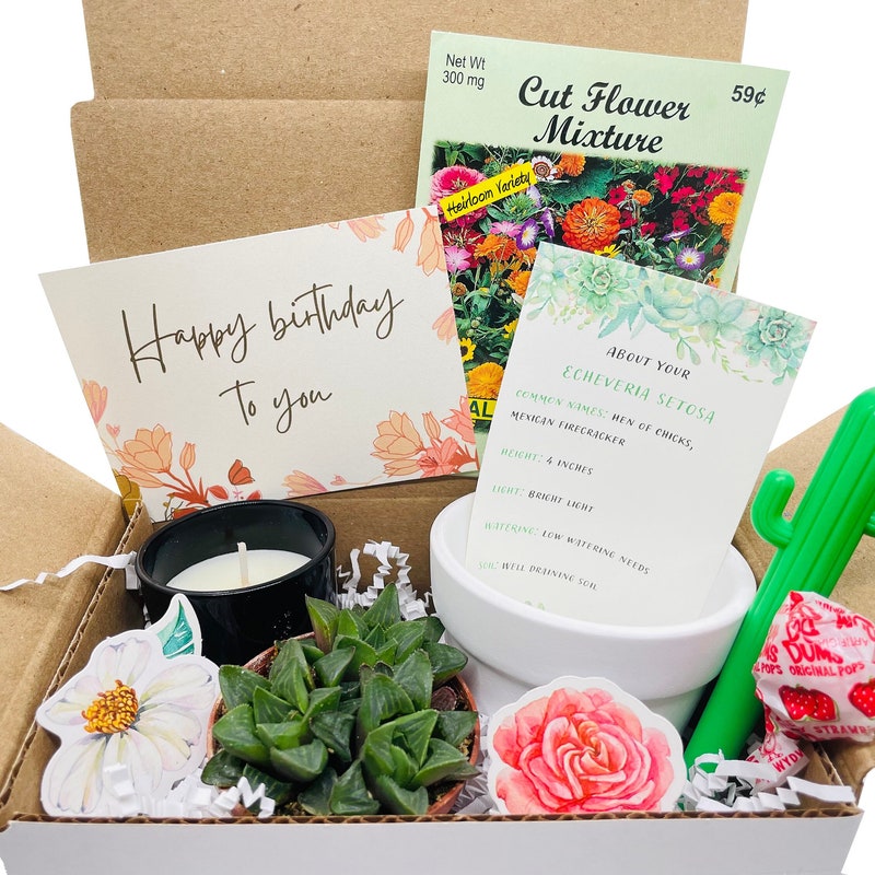 Birthday Box - Etsy