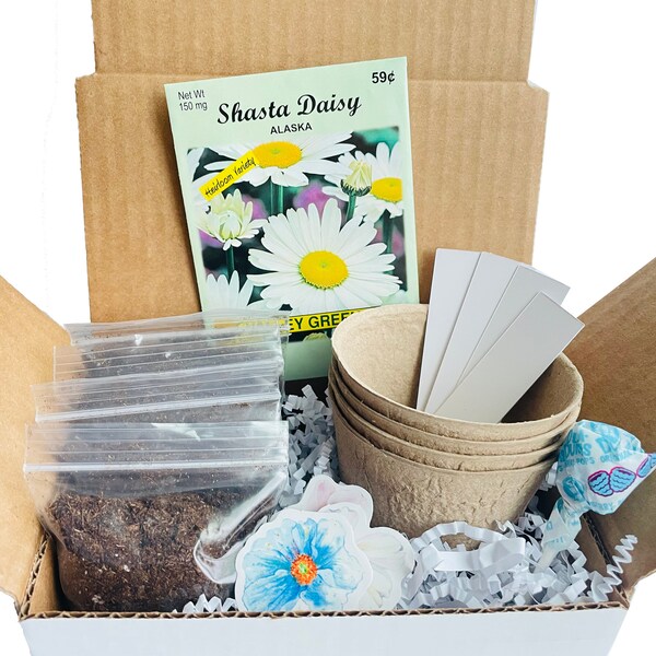 Daisy Gift - 60+ Gift Ideas for 2024