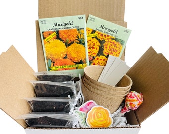 Poppy Grow Kit | Grow Your Own Poppies | Poppy Gift | Gift Box ...