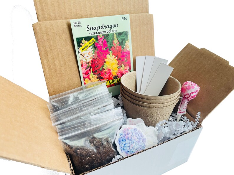 Snapdragon Grow Kit | Grow Your Own Snapdragons | Snapdragon Seeds ...