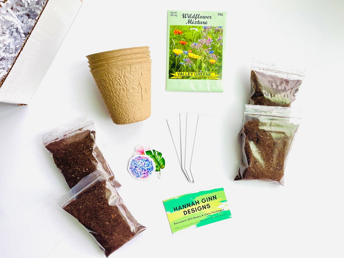 Wildflower Grow Kit | Grow Your Own Wildflowers | Wildflower Gift Box ...