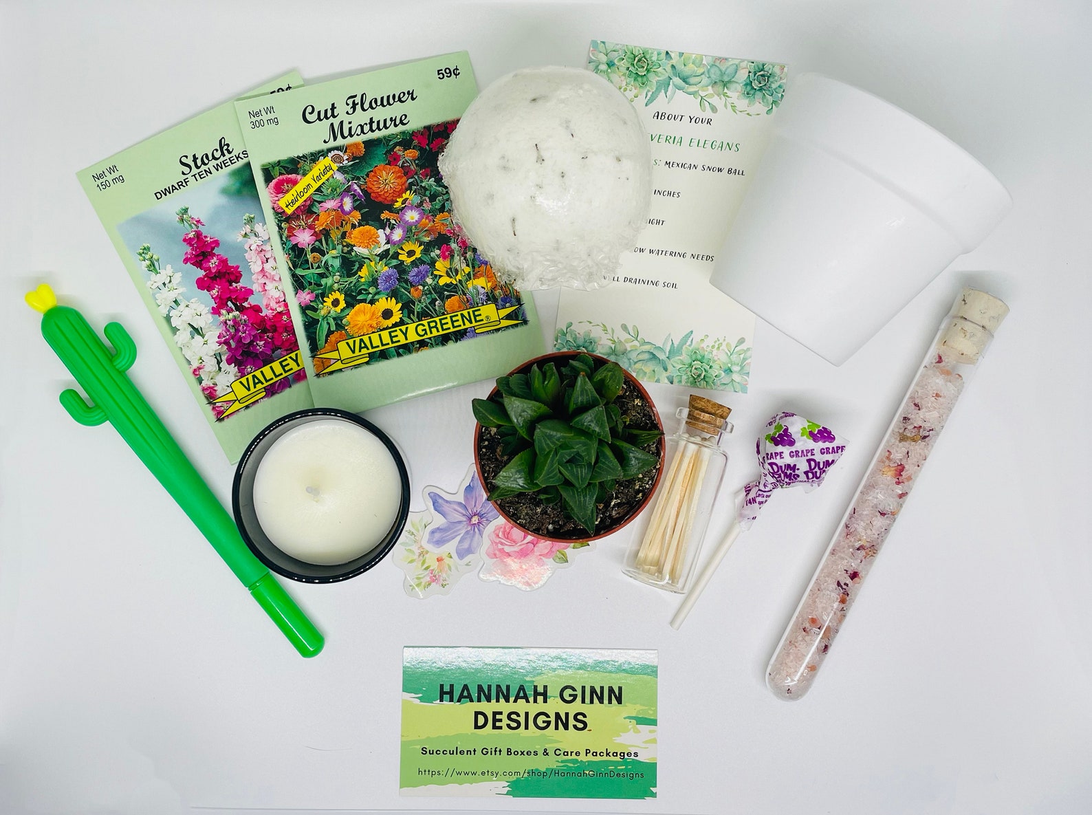 Succulent Gift Box | Plant Gift Box | Deluxe Gift Box | Care Package ...