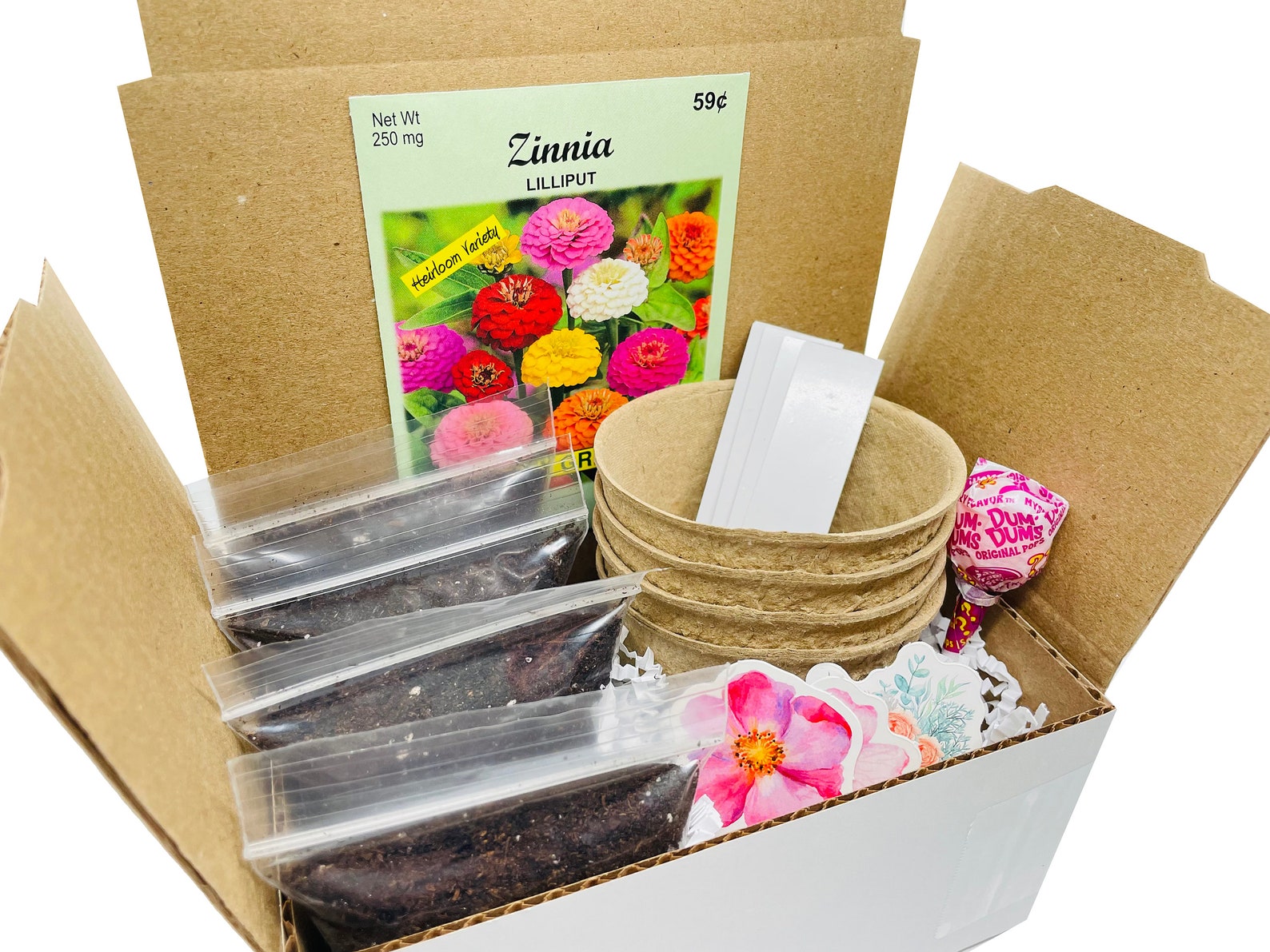 Zinnia Grow Kit | Grow Your Own Zinnia | Zinnia Gift | Zinnia Plant ...