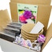 Aster Grow Kit | Grow Your Own Asters | Aster Gift | Aster Plant Seeds ...