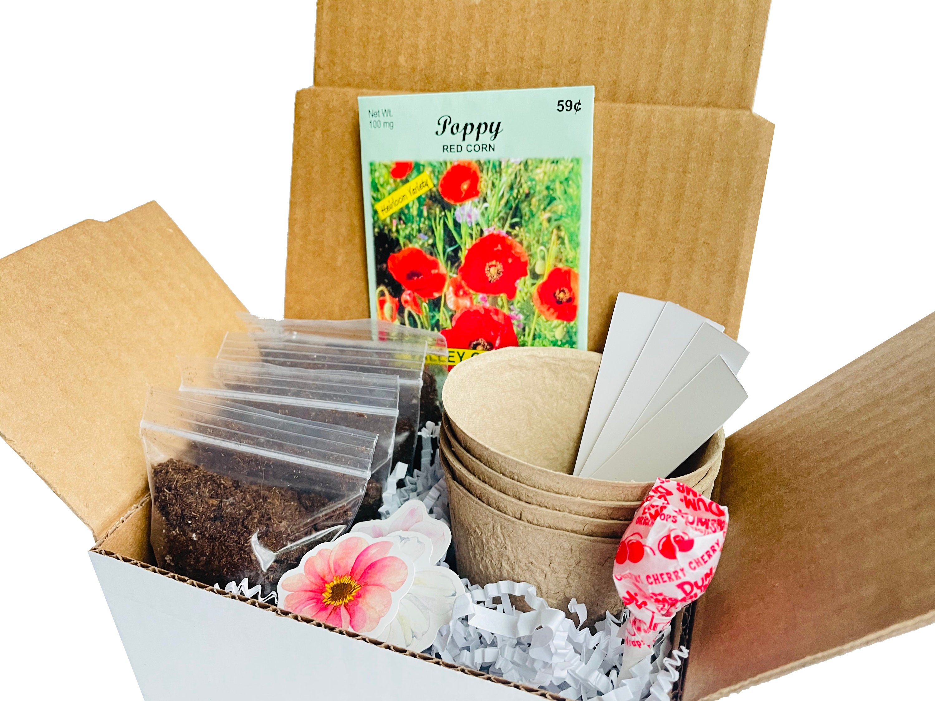 Poppy Grow Kit | Grow Your Own Poppies | Poppy Gift | Gift Box ...
