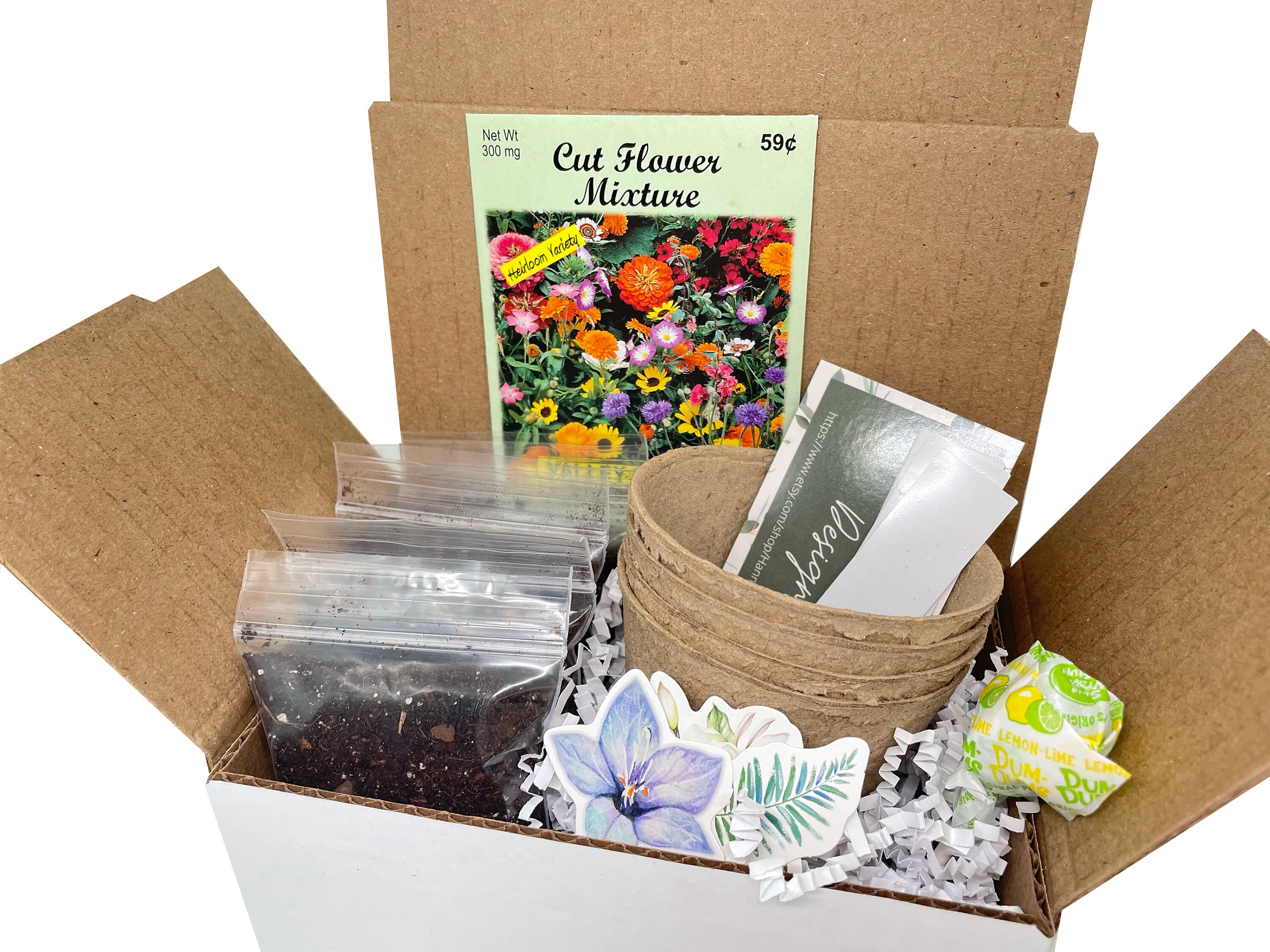 Mixed Flower Grow Kit | Grow Your Own Mixed Flower | Mixed Flower Gift ...