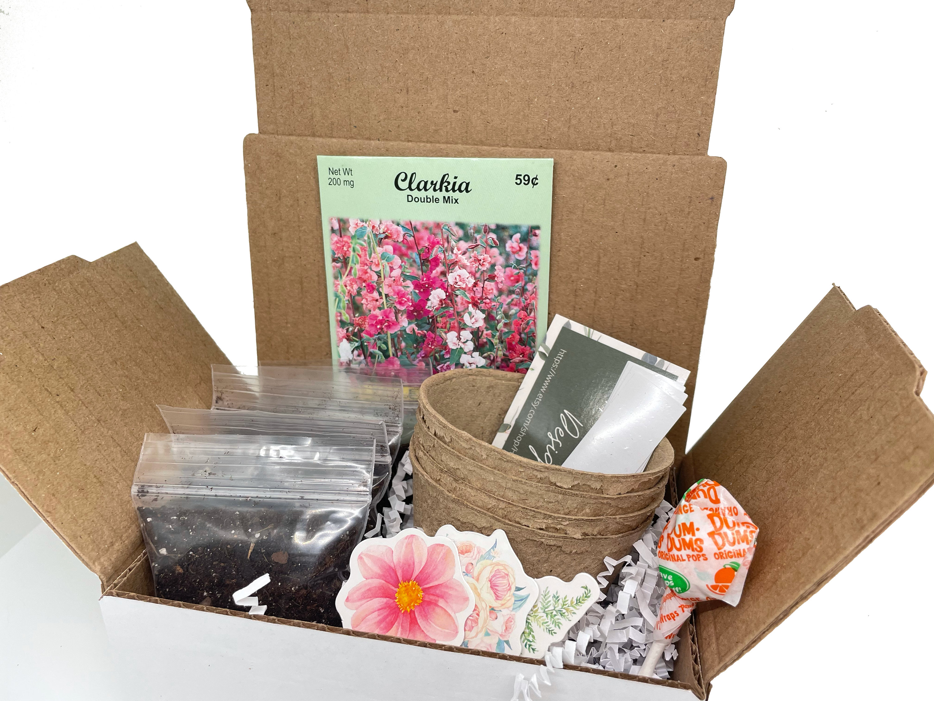 Clarkia Grow Kit | Grow Your Own Clarkias | Clarkia Flowers | Clarkia ...