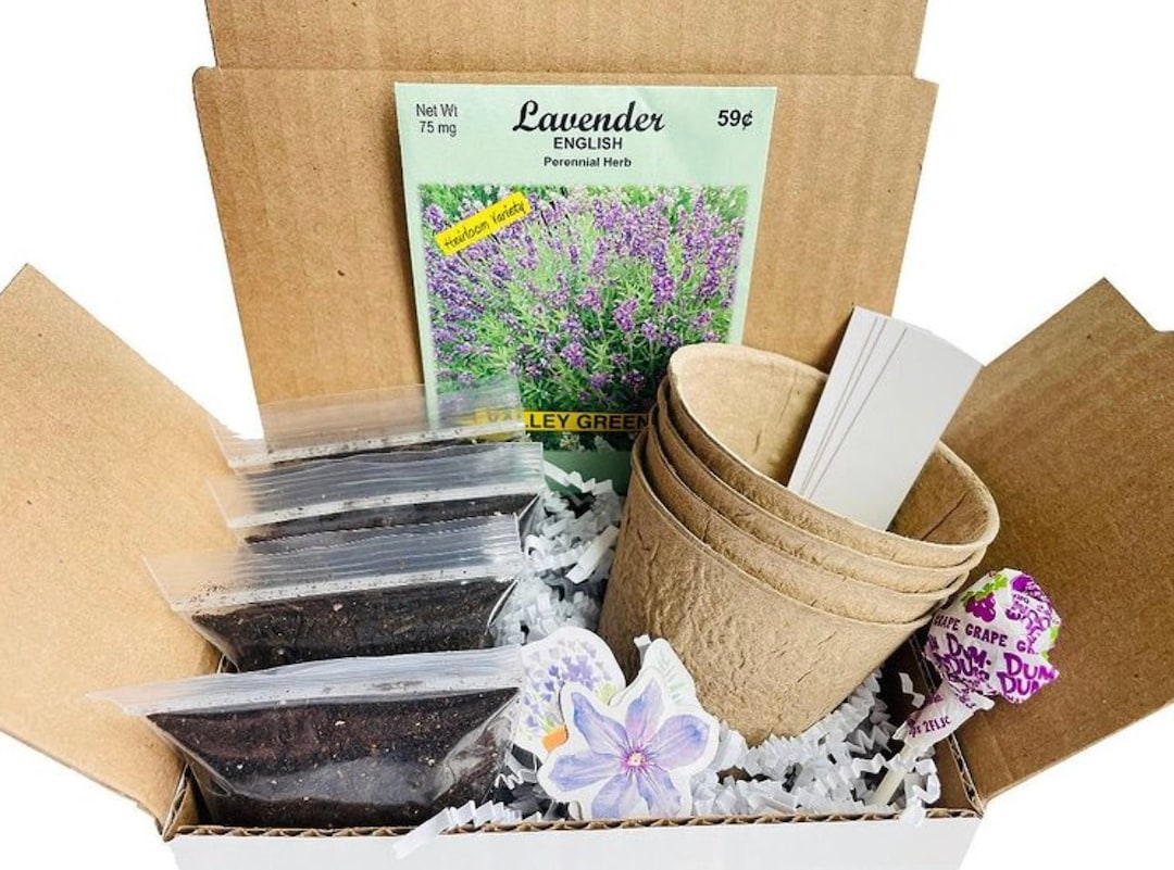Lavender Grow Kit | Grow Your Own Lavender | Lavender Gift ...