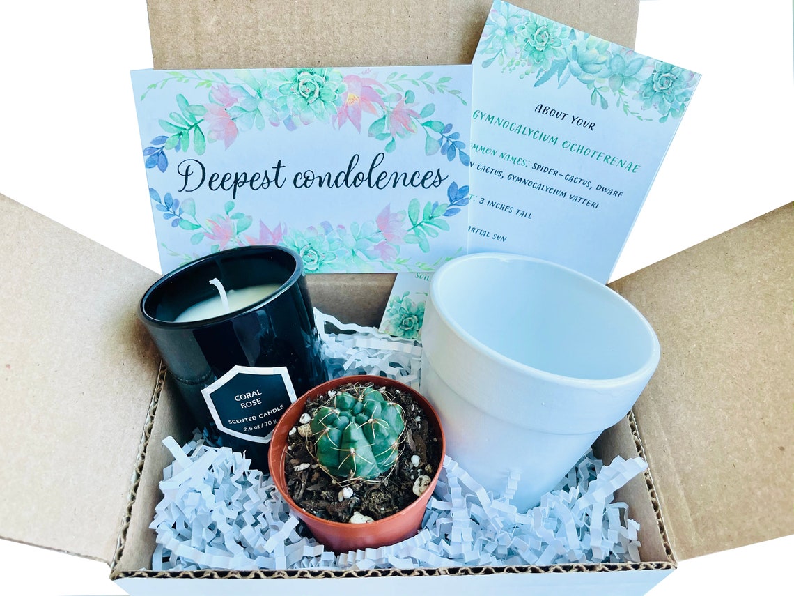 Sympathy Gift Box | Sympathy Gift | Sorry for Your Loss | Sympathy Box ...