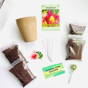 Snapdragon Grow Kit | Grow Your Own Snapdragons | Snapdragon Seeds ...