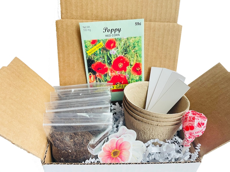 Poppy Grow Kit | Grow Your Own Poppies | Poppy Gift | Gift Box ...