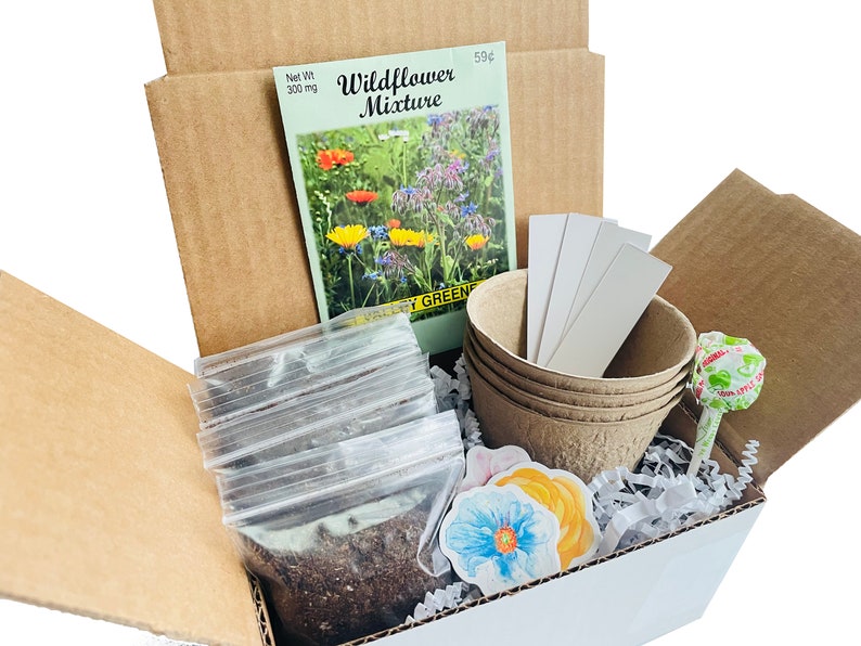 Wildflower Grow Kit | Grow Your Own Wildflowers | Wildflower Gift Box ...