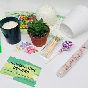 Succulent Gift Box | Plant Gift Box | Deluxe Gift Box | Care Package ...
