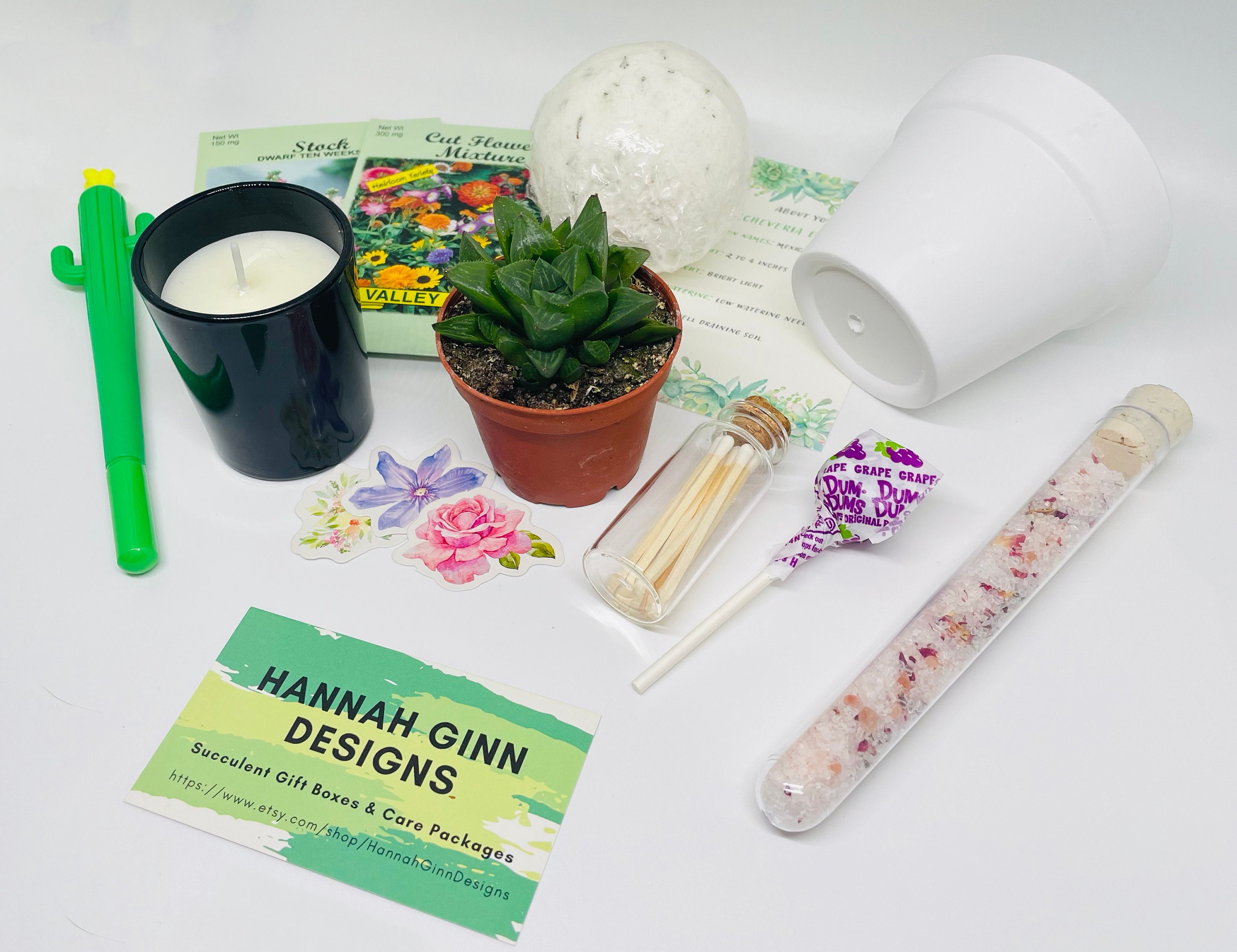 Succulent Gift Box | Plant Gift Box | Deluxe Gift Box | Care Package ...