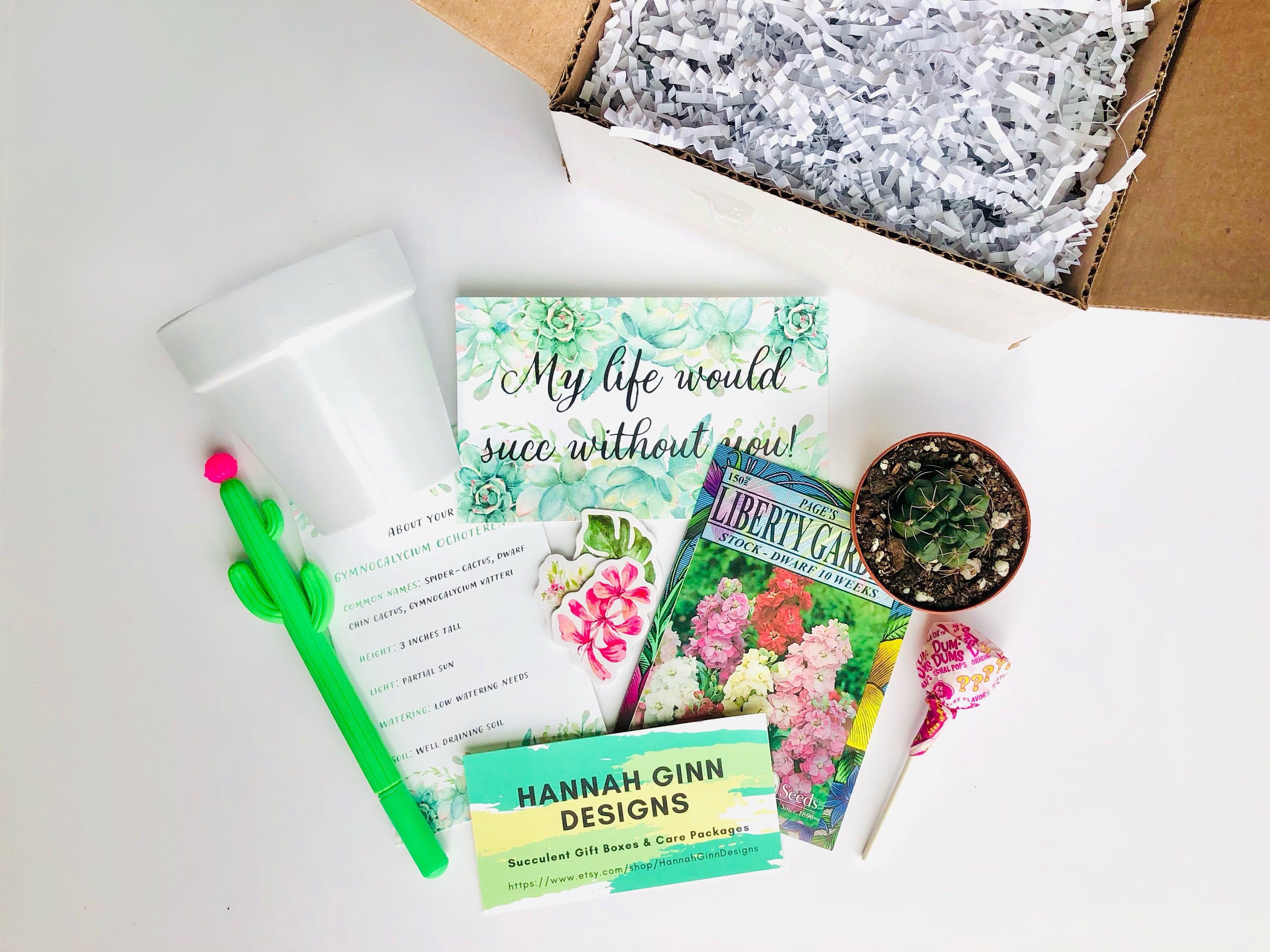 Succulent Gift Box Plant Gift Box Custom Gift Box Care - Etsy