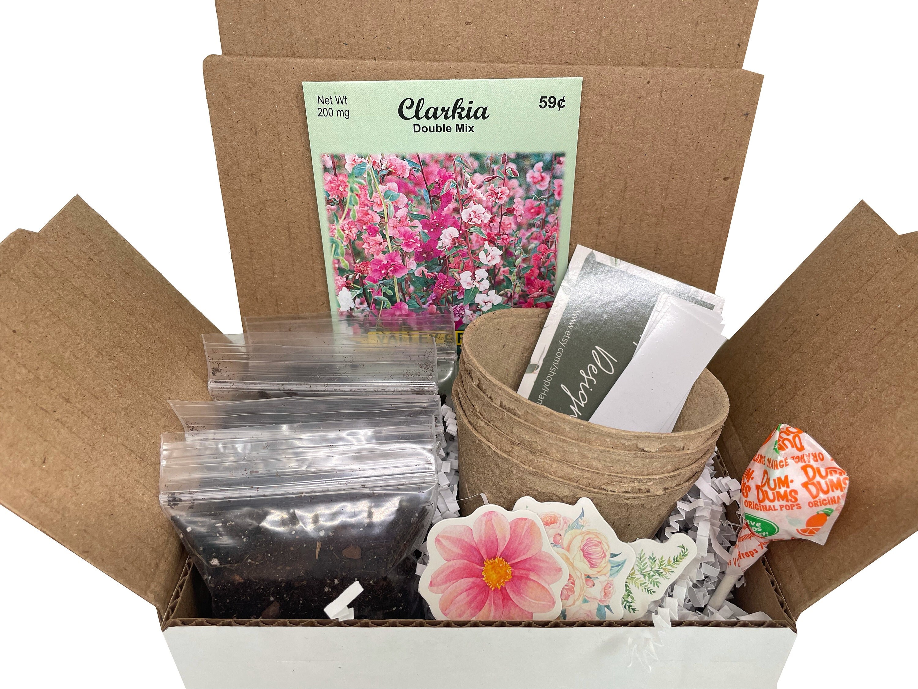 Clarkia Grow Kit | Grow Your Own Clarkias | Clarkia Flowers | Clarkia ...