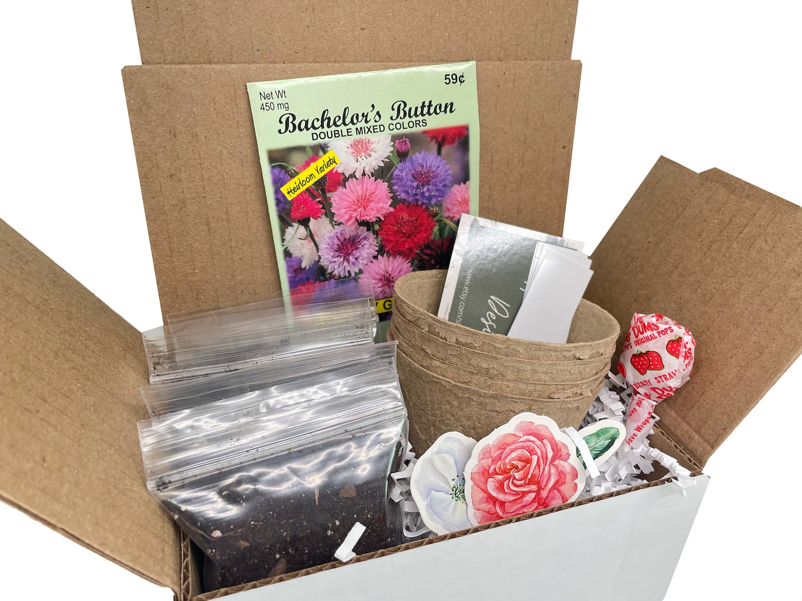 Bachelor's Buttons Grow Kit Grow Your Own Bachelor's Buttons Bachelors ...