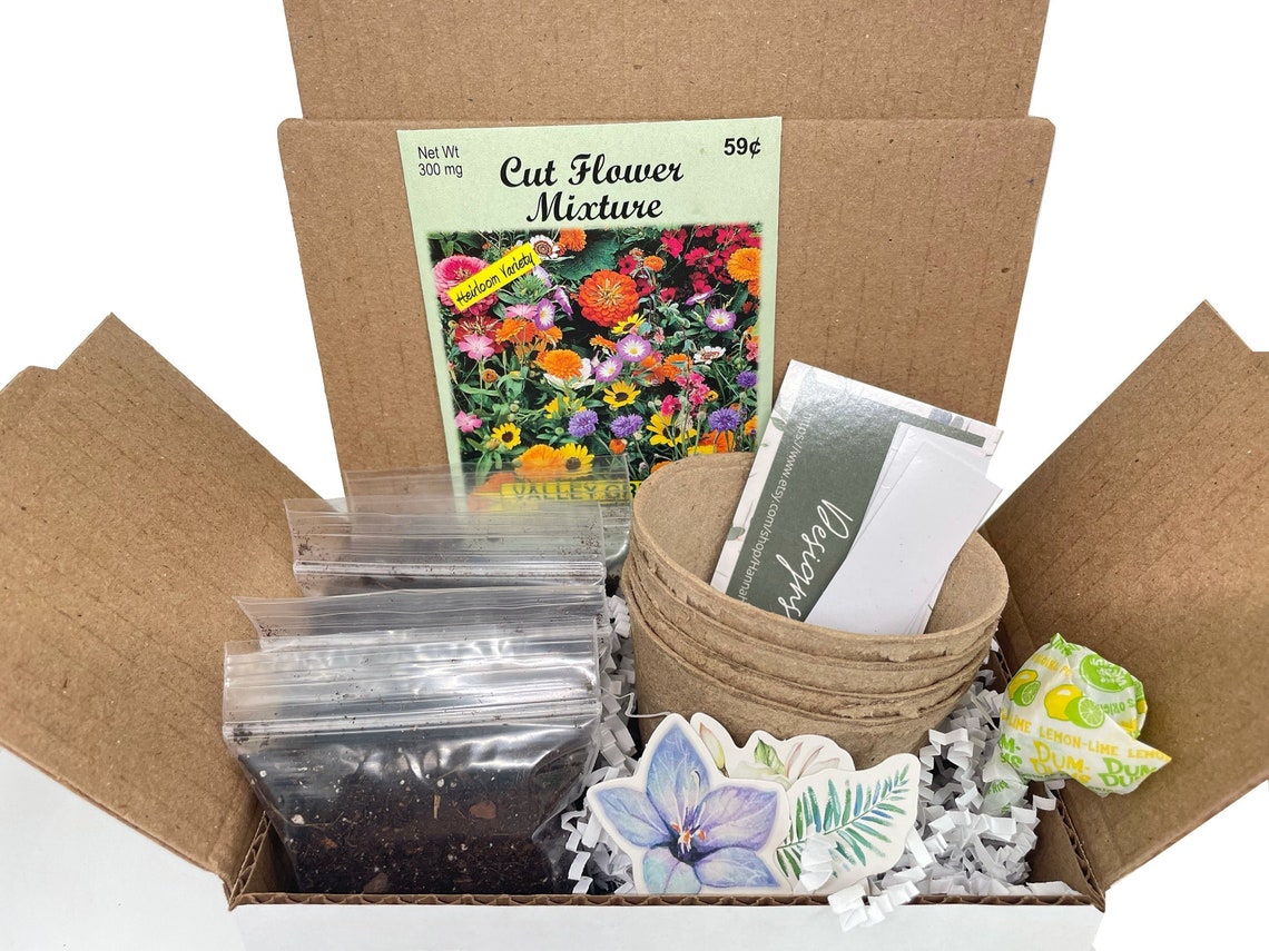 Mixed Flower Grow Kit | Grow Your Own Mixed Flower | Mixed Flower Gift ...