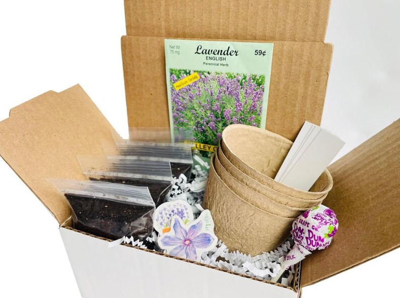 Lavender Grow Kit | Grow Your Own Lavender | Lavender Gift ...