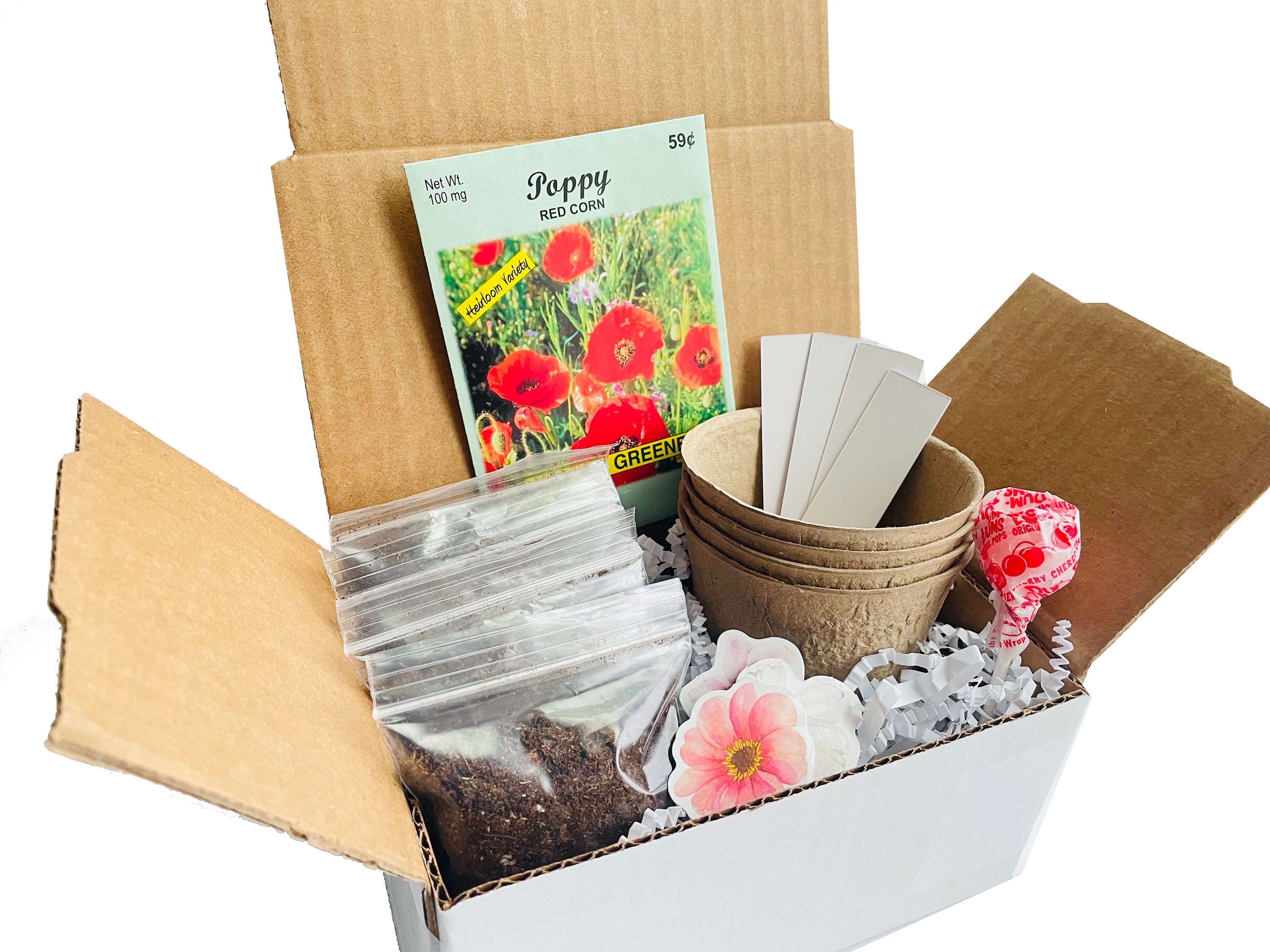 Poppy Grow Kit | Grow Your Own Poppies | Poppy Gift | Gift Box ...
