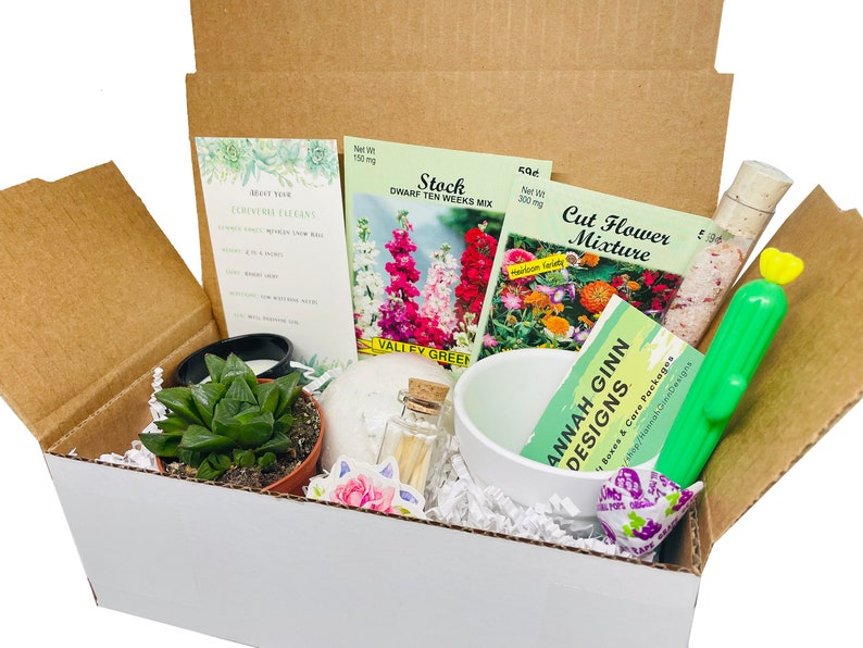Succulent Gift Box | Plant Gift Box | Deluxe Gift Box | Care Package ...