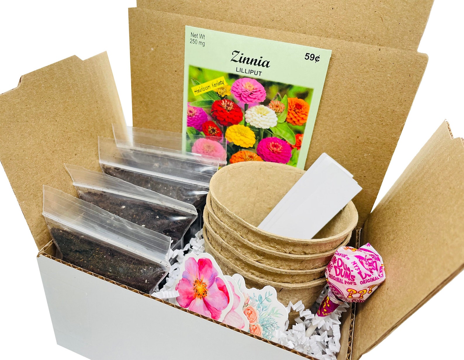 Zinnia Grow Kit | Grow Your Own Zinnia | Zinnia Gift | Zinnia Plant ...