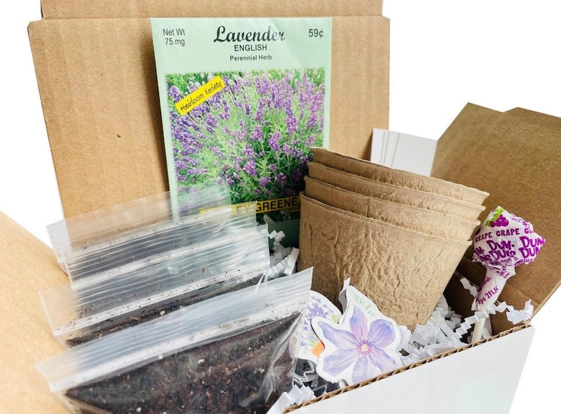 Lavender Grow Kit | Grow Your Own Lavender | Lavender Gift ...