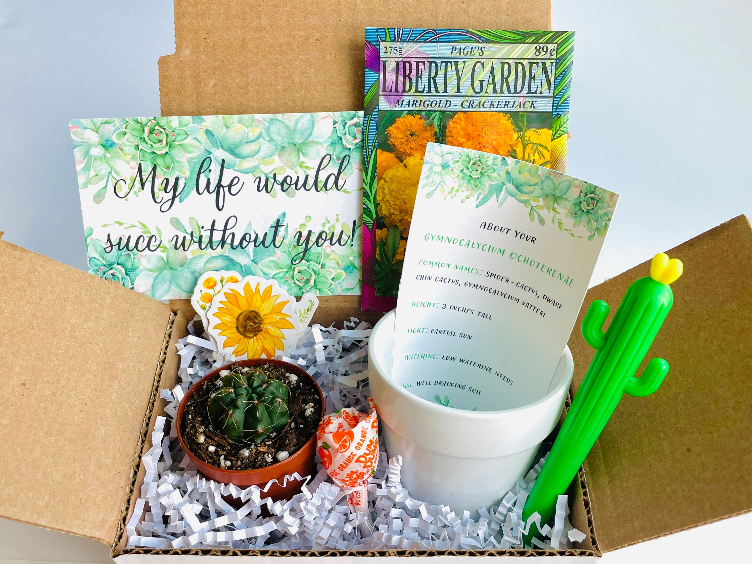 Succulent Gift Box Plant Gift Box Custom Gift Box Care - Etsy