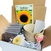 Sunflower Grow Kit | Grow Your Own Sunflowers | Sunflower Gift ...