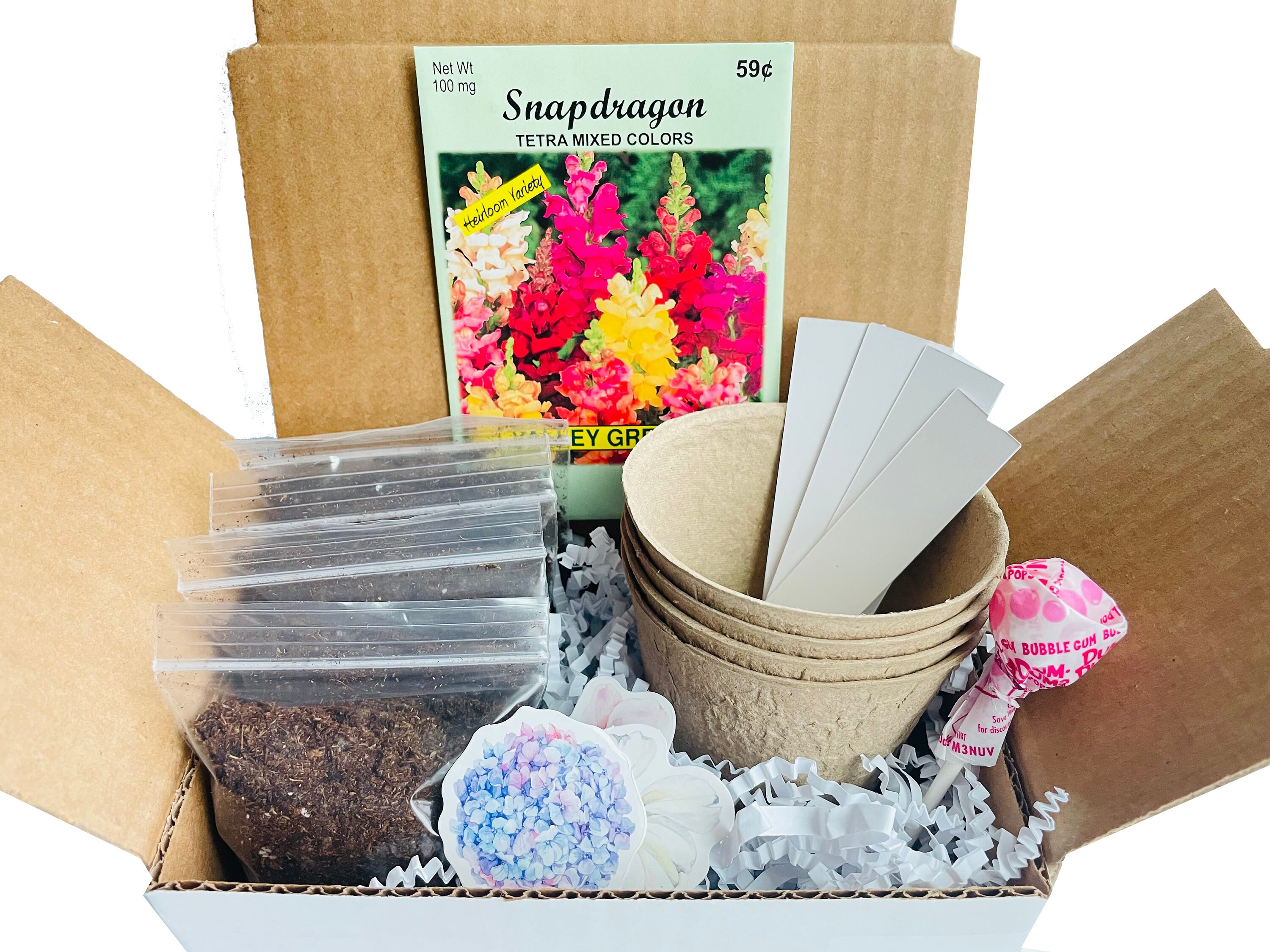 Snapdragon Grow Kit | Grow Your Own Snapdragons | Snapdragon Seeds ...