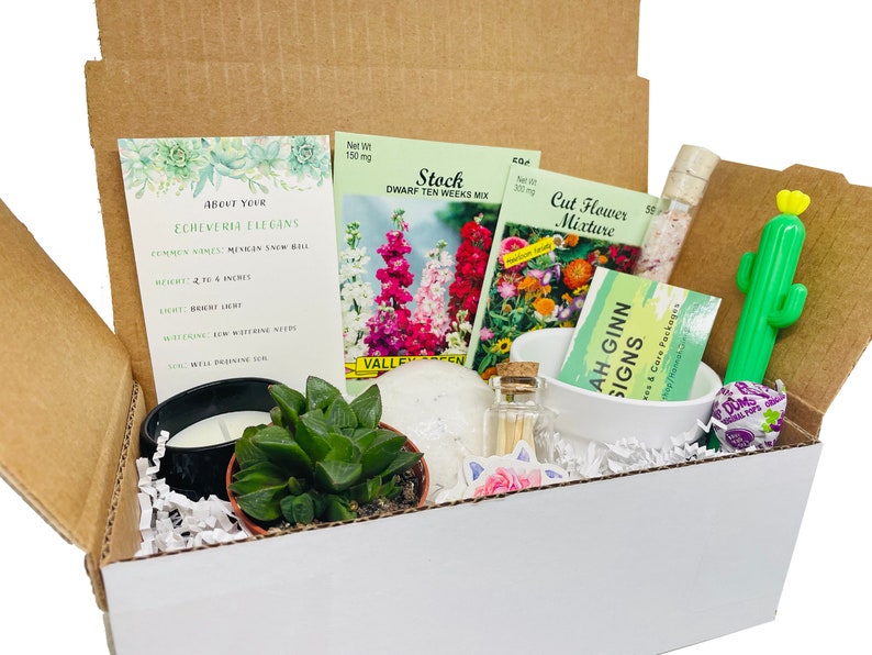 Succulent Gift Box | Plant Gift Box | Deluxe Gift Box | Care Package ...