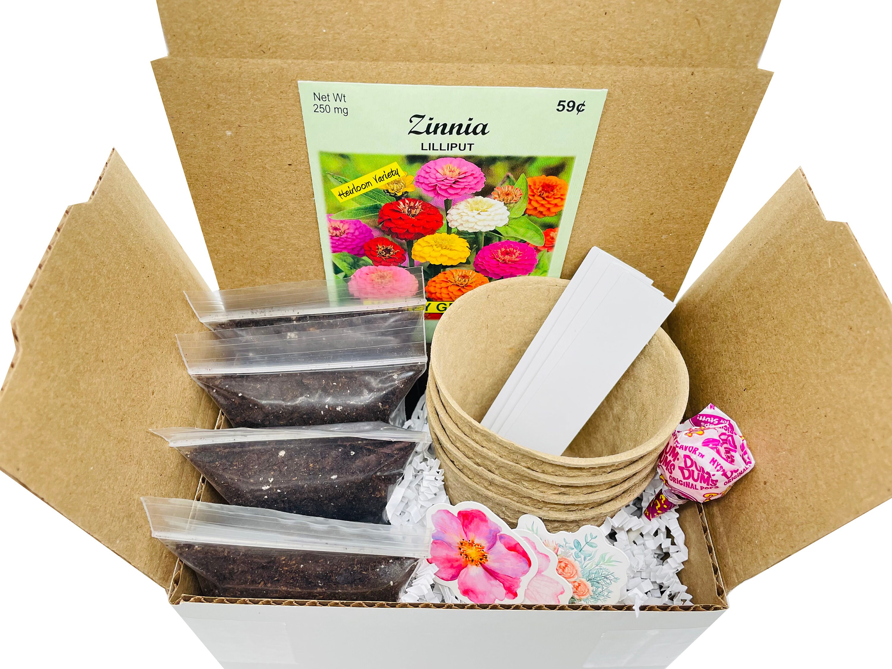 Zinnia Grow Kit | Grow Your Own Zinnia | Zinnia Gift | Zinnia Plant ...