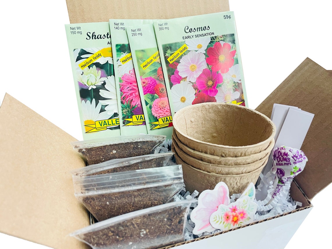 Butterfly Garden Kit Butterfly Garden Seed Kit Gift for - Etsy