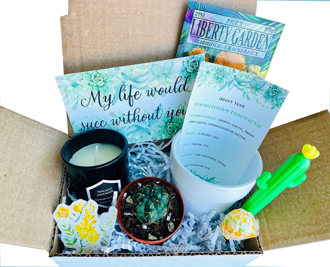 Succulent Gift Box | Plant Gift Box | Custom Gift Box | Care Package ...