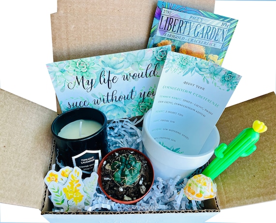 Succulent Gift Box Plant Gift Box Custom Gift Box Care - Etsy