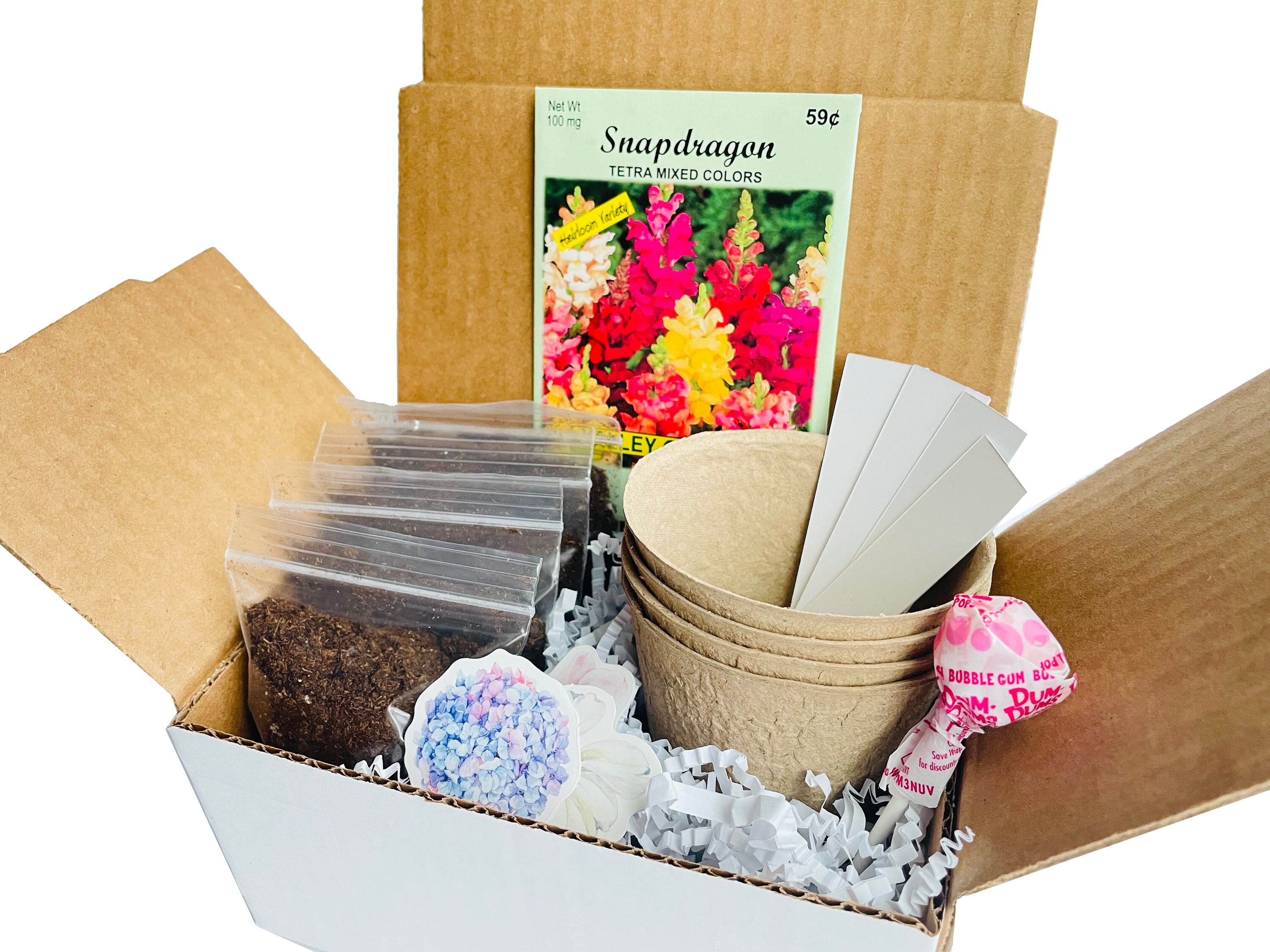 Snapdragon Grow Kit | Grow Your Own Snapdragons | Snapdragon Seeds ...