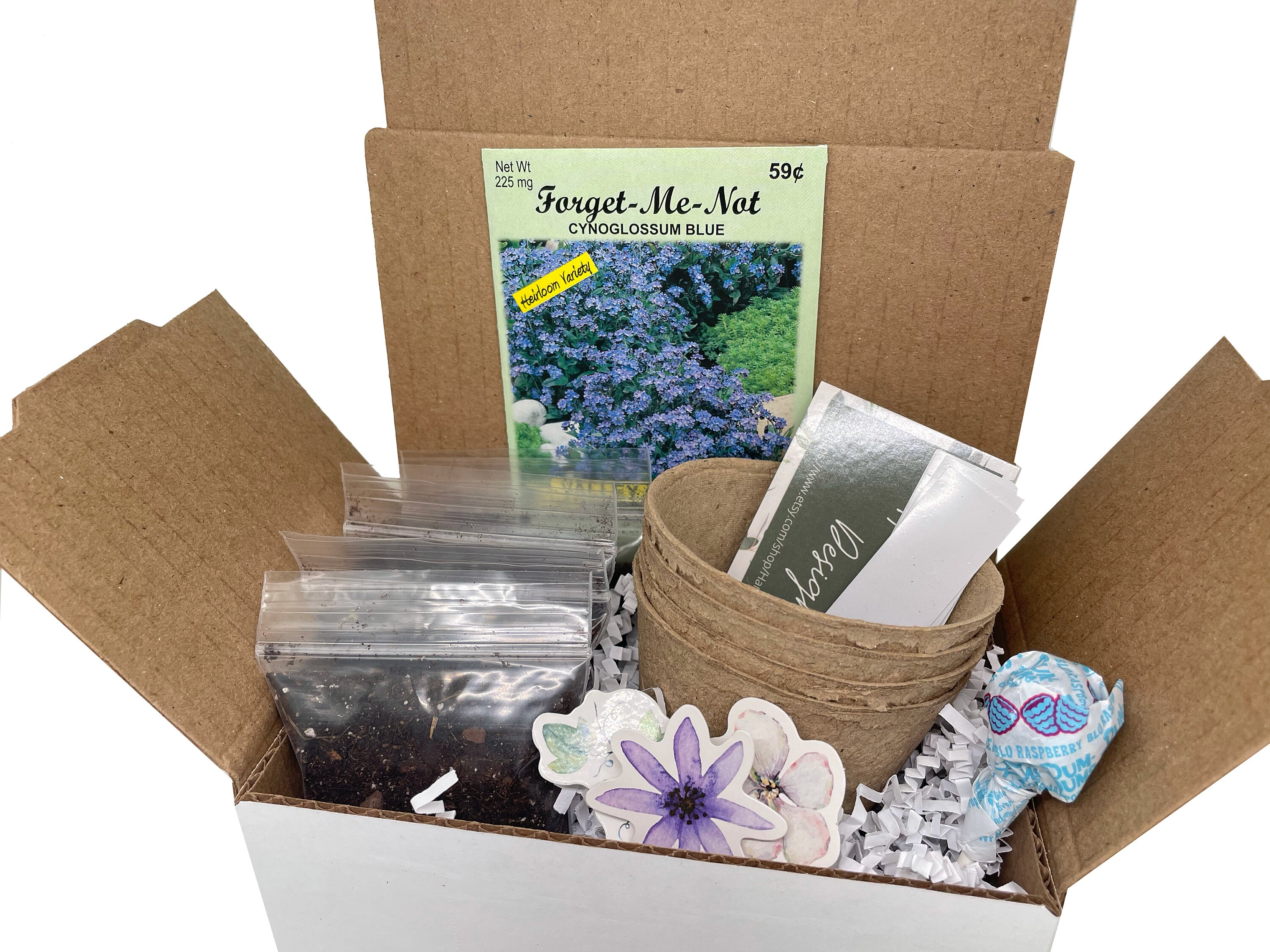 Forget Me Not Grow Kit | Grow Your Own Forget Me Nots | Forget Me Not ...