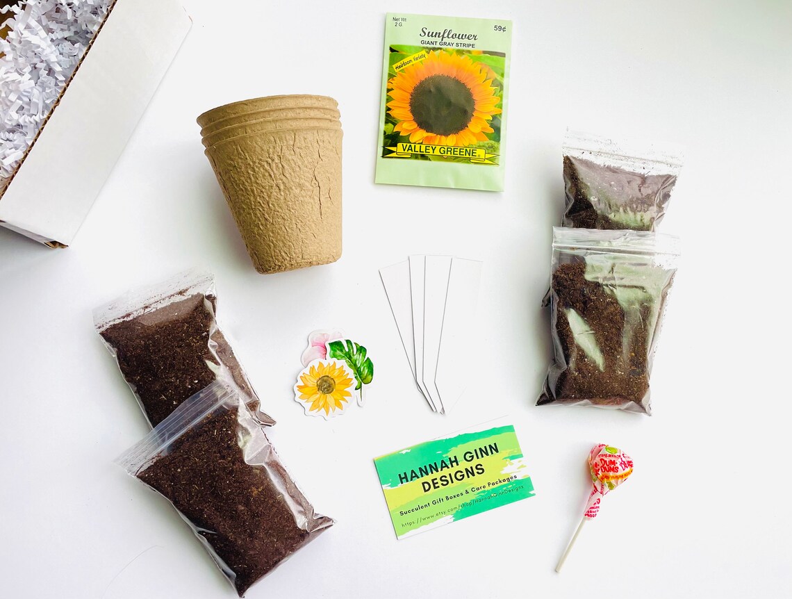 Sunflower Grow Kit | Grow Your Own Sunflowers | Sunflower Gift ...