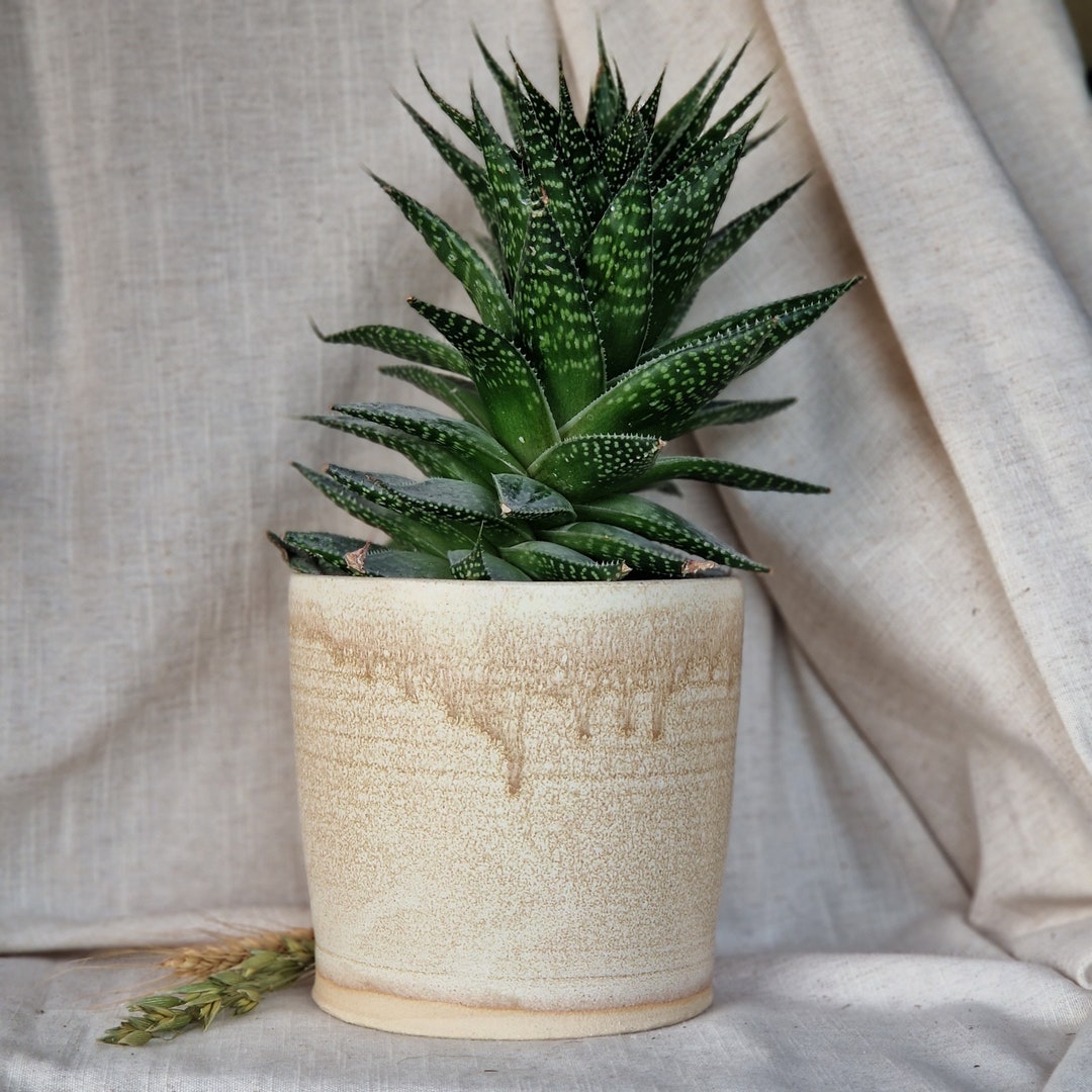 Cream Ceramic Planter, Handmade Glazed Pot, Speckled Plant Pot, Large ...