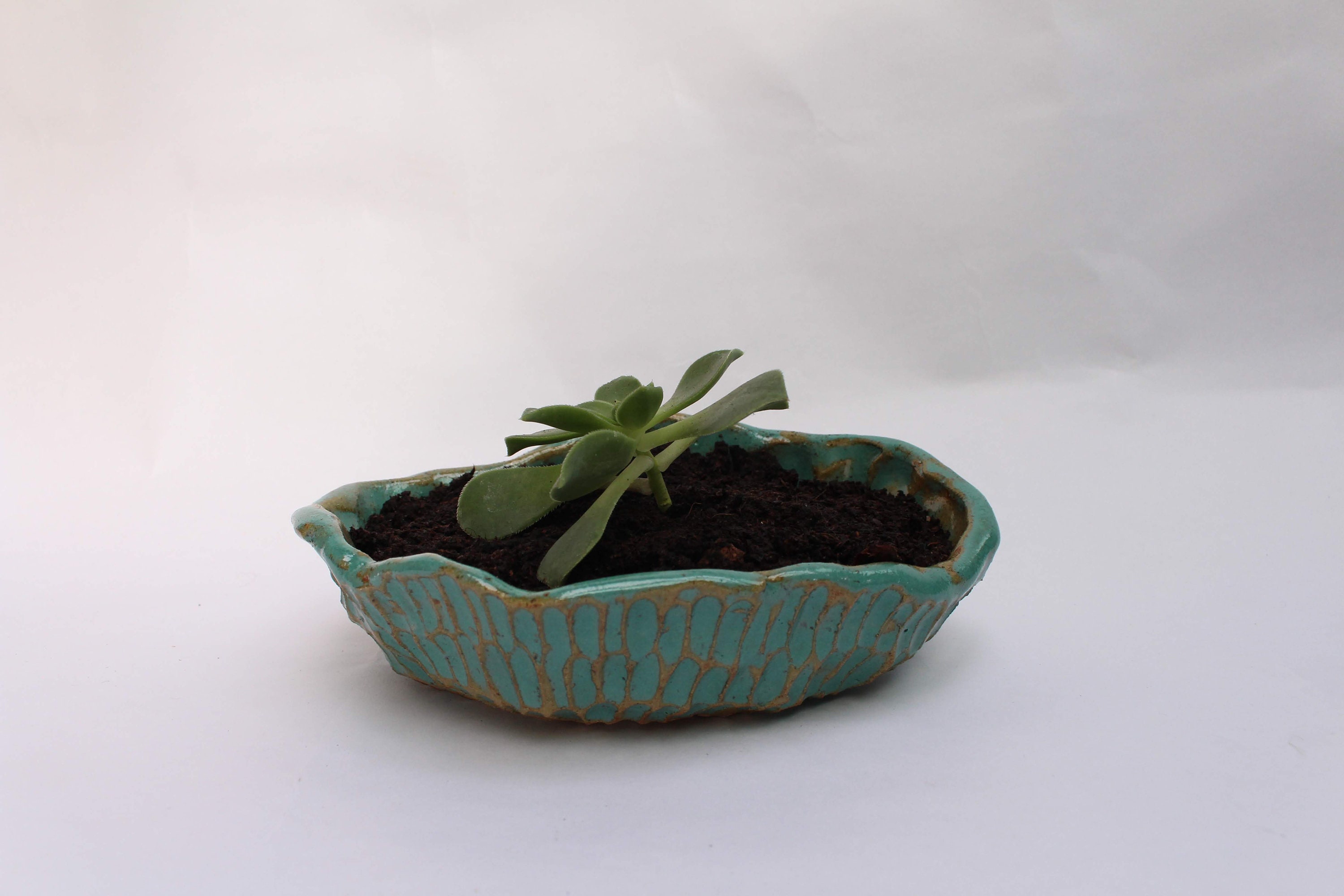 Turquoise Textured Ceramic Plant Pot Ready to Ship Ceramics and Pottery ...