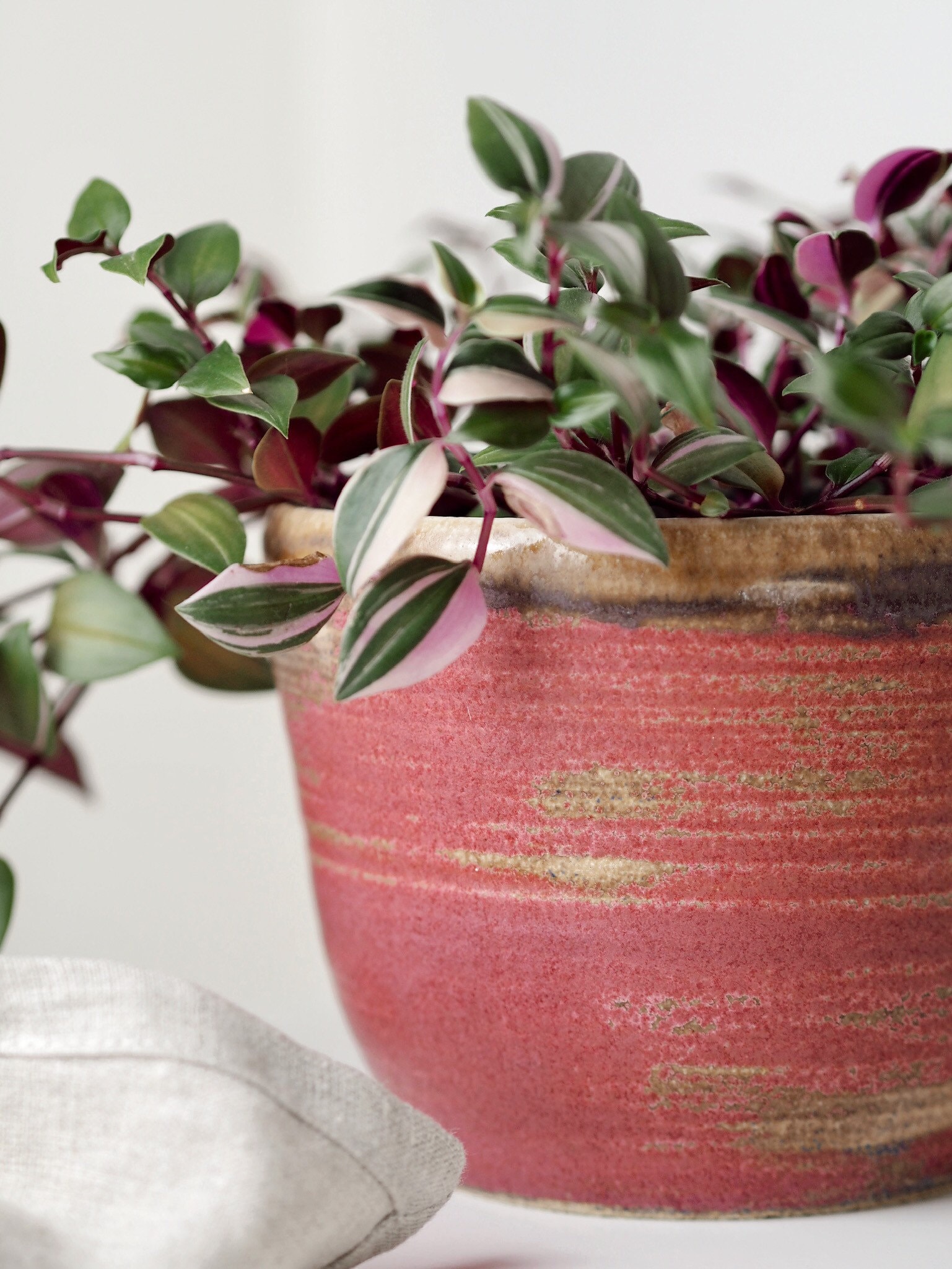 Pink Ceramic Planter Handmade Glazed Pot Speckled Plant Pot - Etsy