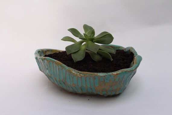 Turquoise Textured Ceramic Plant Pot Ready to Ship Ceramics and Pottery ...
