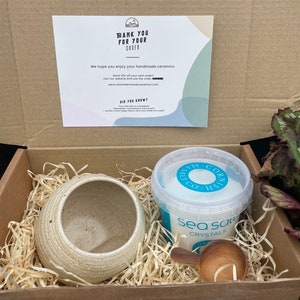 Sky Blue Salt Pig, Blue Salt Cellar, Rock Salt Container, Handmade ...