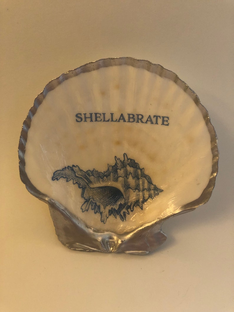 Decoupage Scallop Shell, Conch Print, 'shellabrate,' Scallop Shell ...