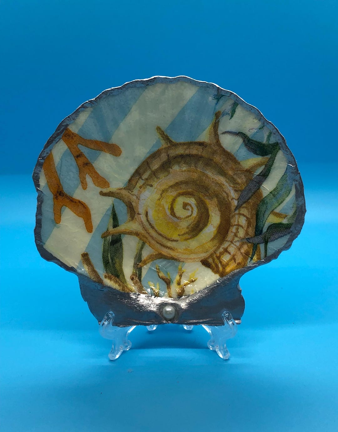 Conch Scallop Shell Trinket Dish, Ocean Decor - Etsy