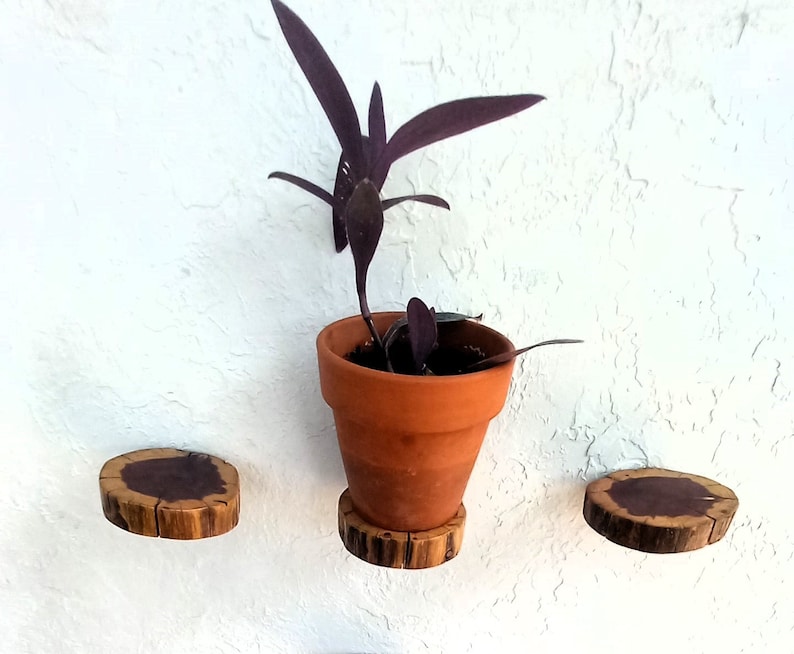 Floating Shelf Live Edge, Small Rustic Wooden Plant Shelf, Live Edge ...